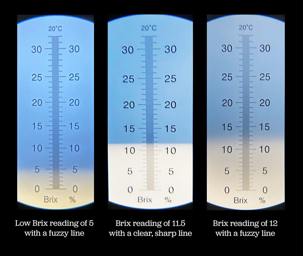 Understanding plant sap Brix levels - NutriSoil
