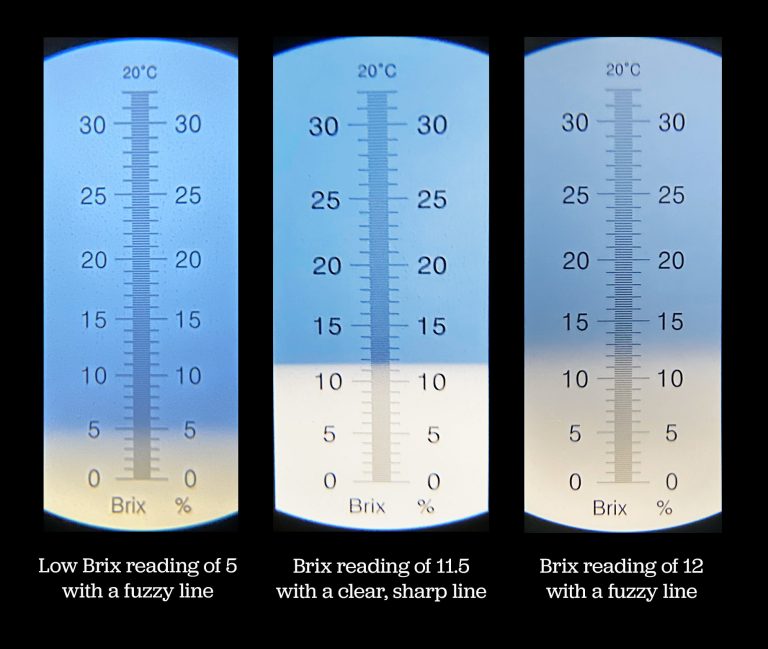 Understanding plant sap Brix levels - NutriSoil