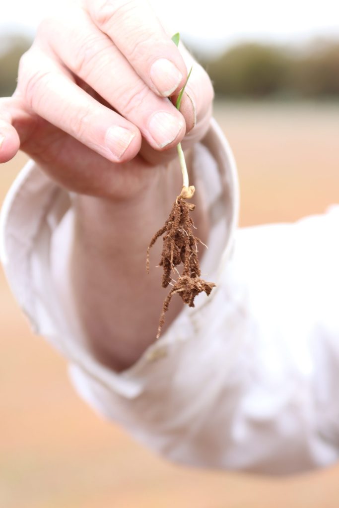 Inoculation and liquid injection - setting up for success